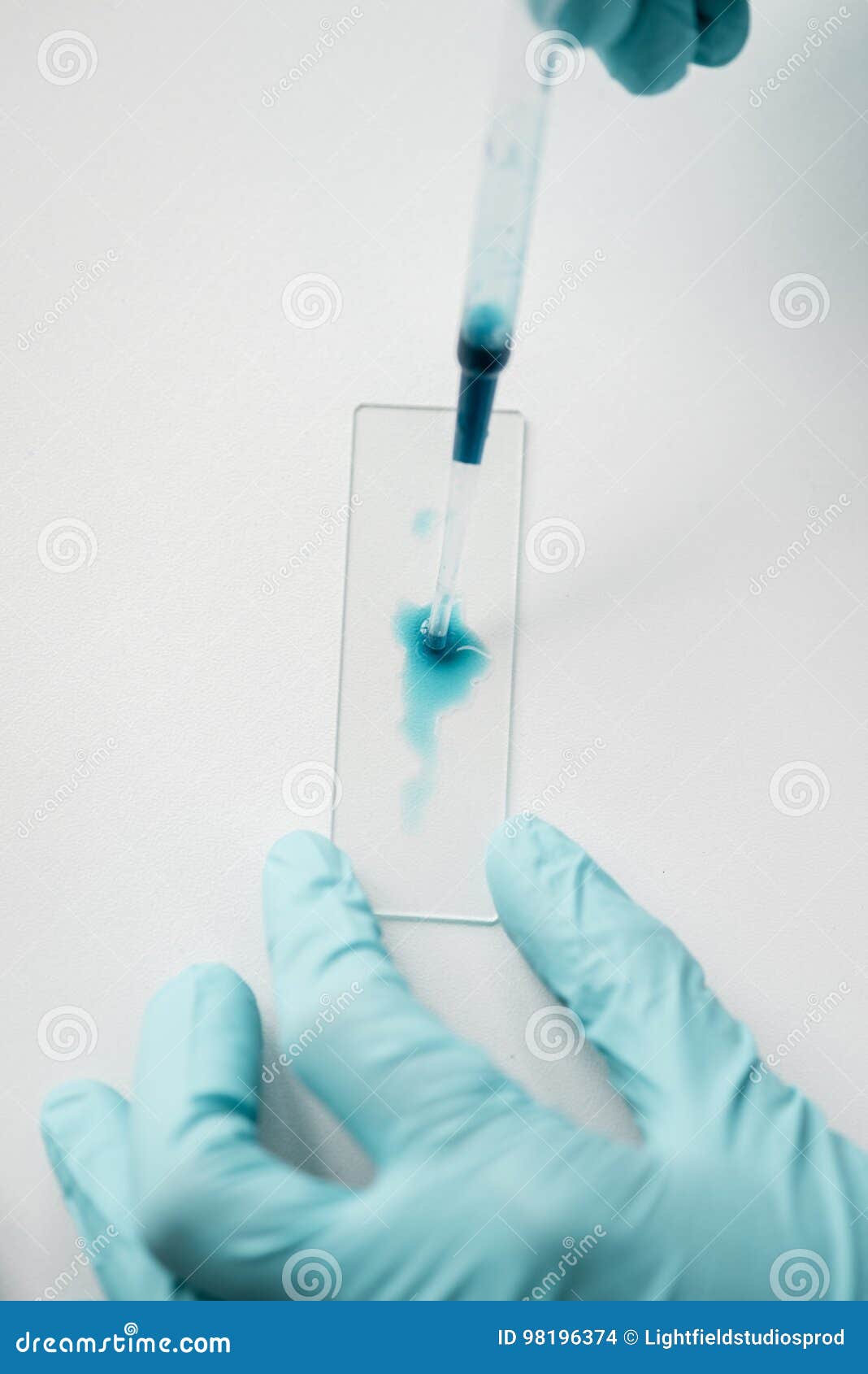 Scientist Working with Reagent and Glass Microscope Slide in Lab Stock ...