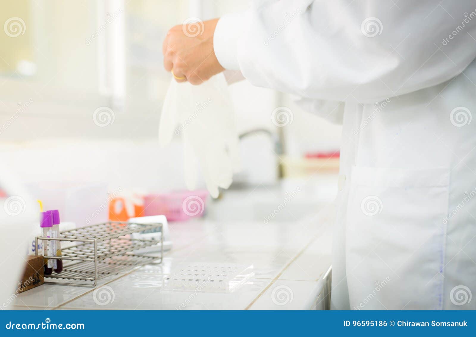 Scientist Working in White Laboratory. Stock Photo - Image of biology ...