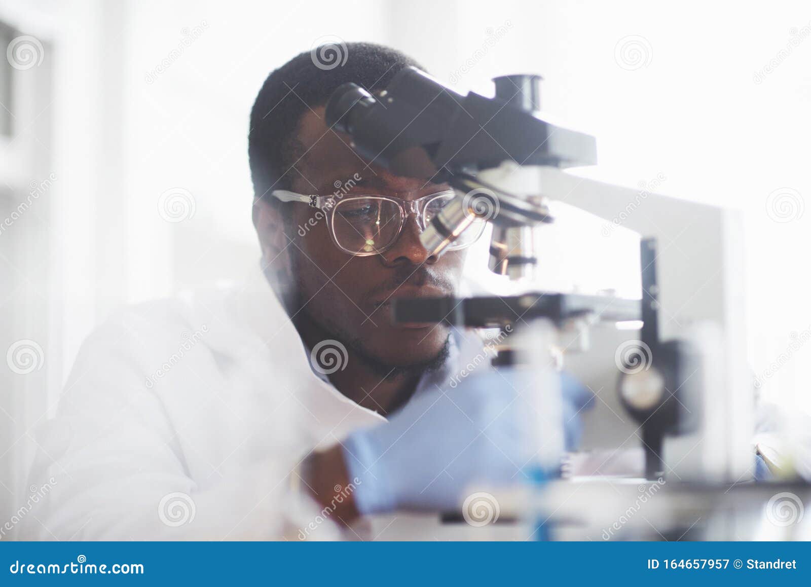 The Scientist Works with a Microscope in a Laboratory Conducting ...
