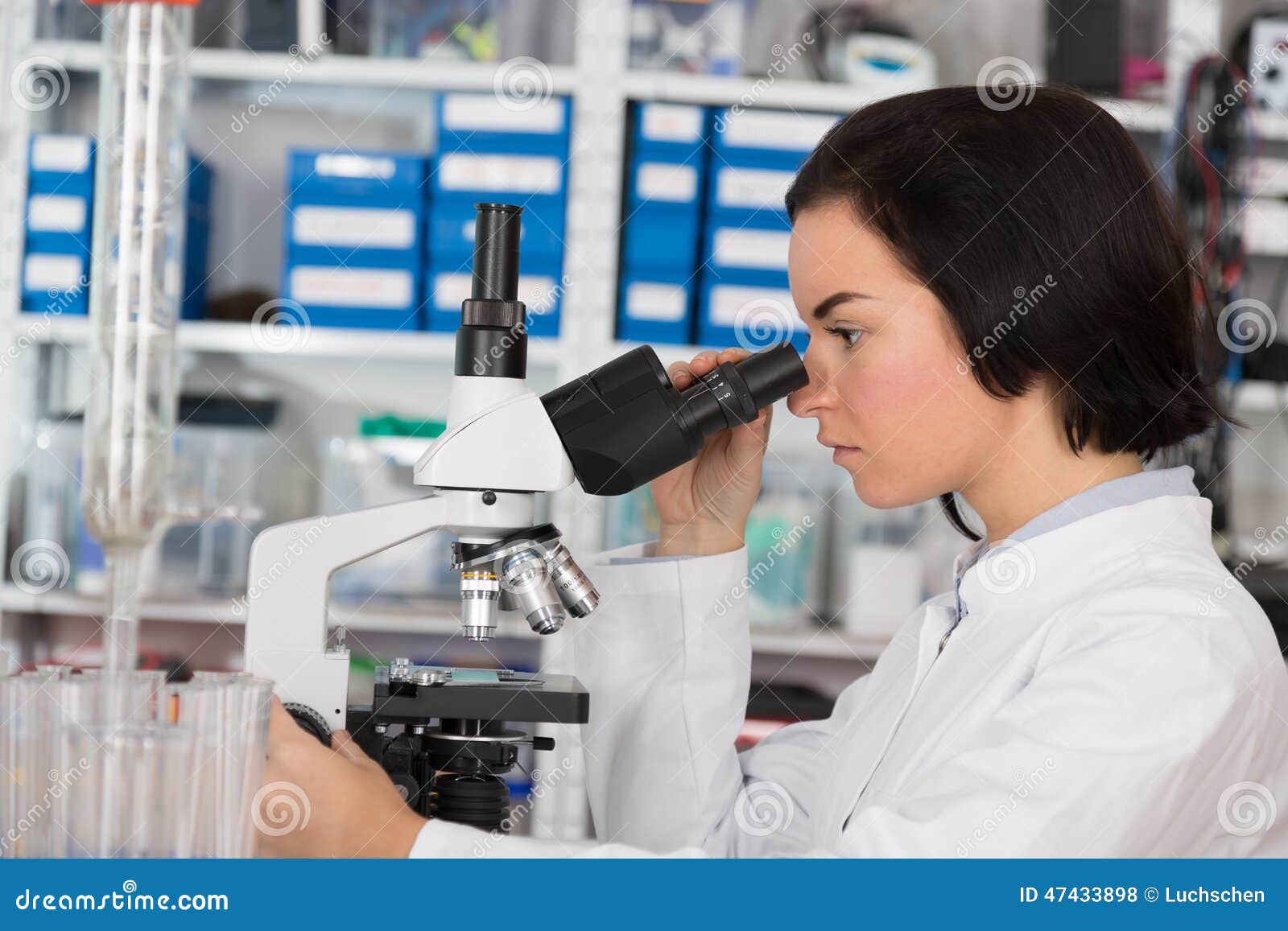 Scientist Young Woman Using a Microscope in Science Laboratory Stock ...