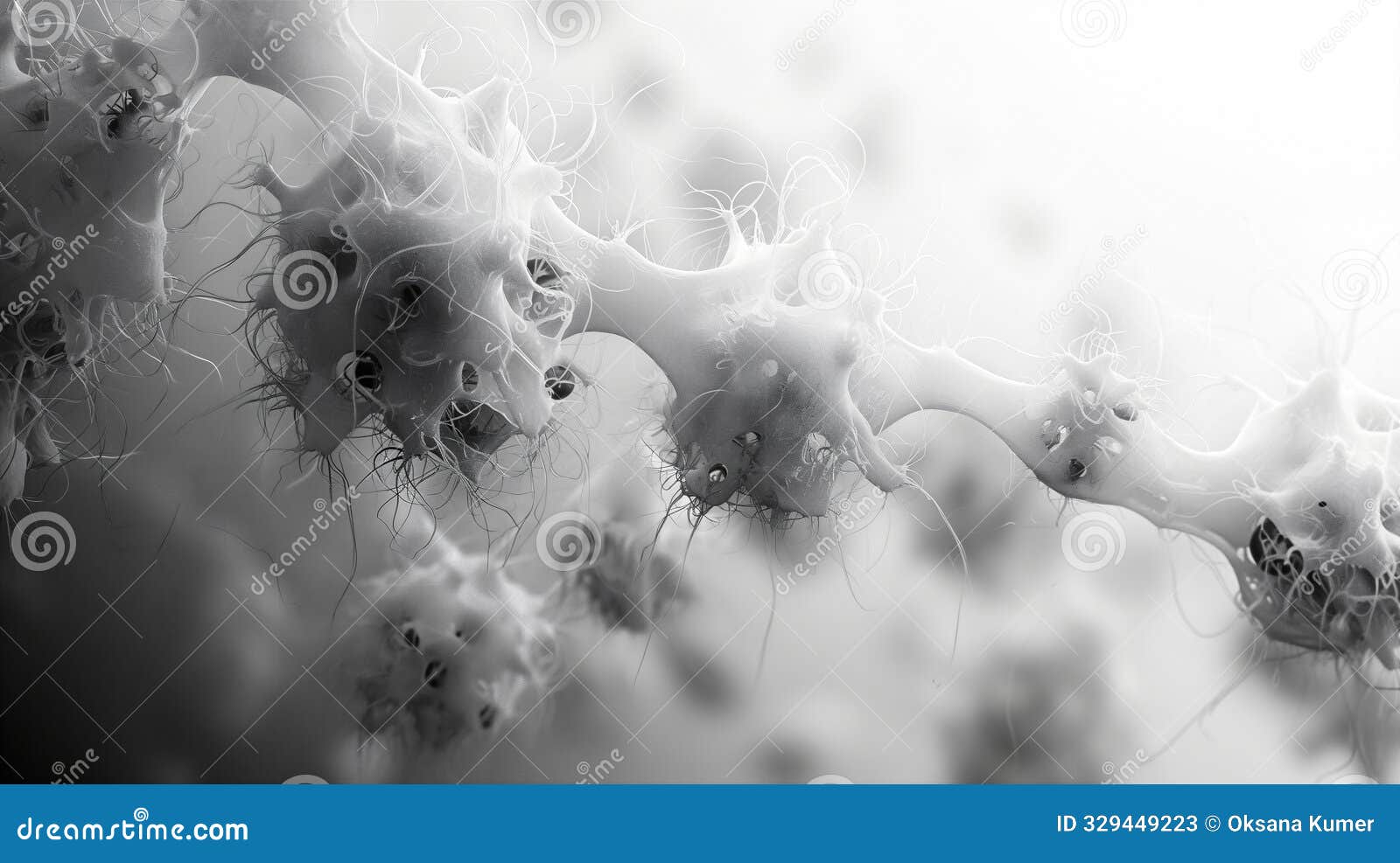 Scientistic Background Of Process Of Life Cell Emergence And ...