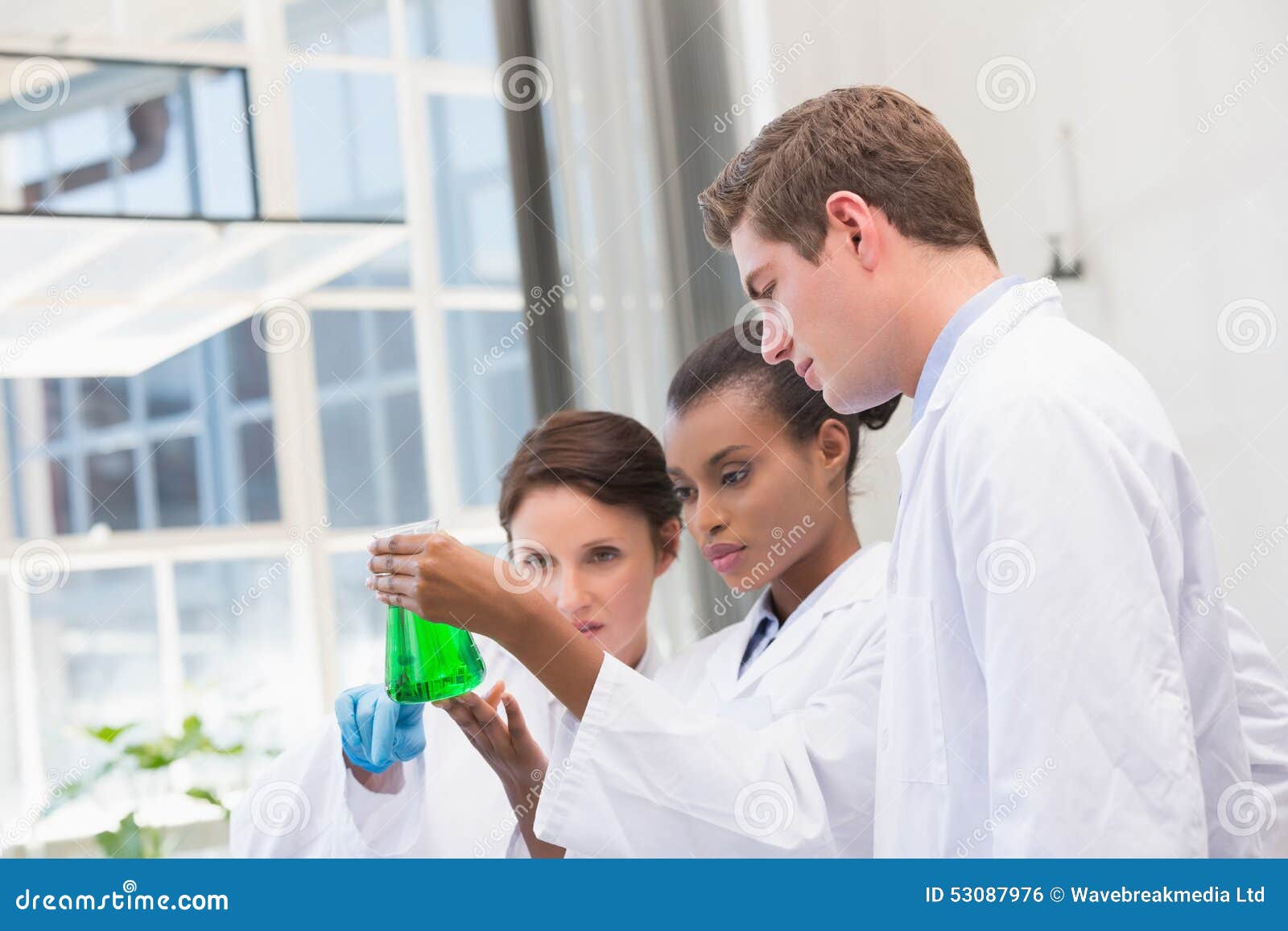Scientists Analyzing Beakers with Chemical Fluid Stock Photo - Image of ...