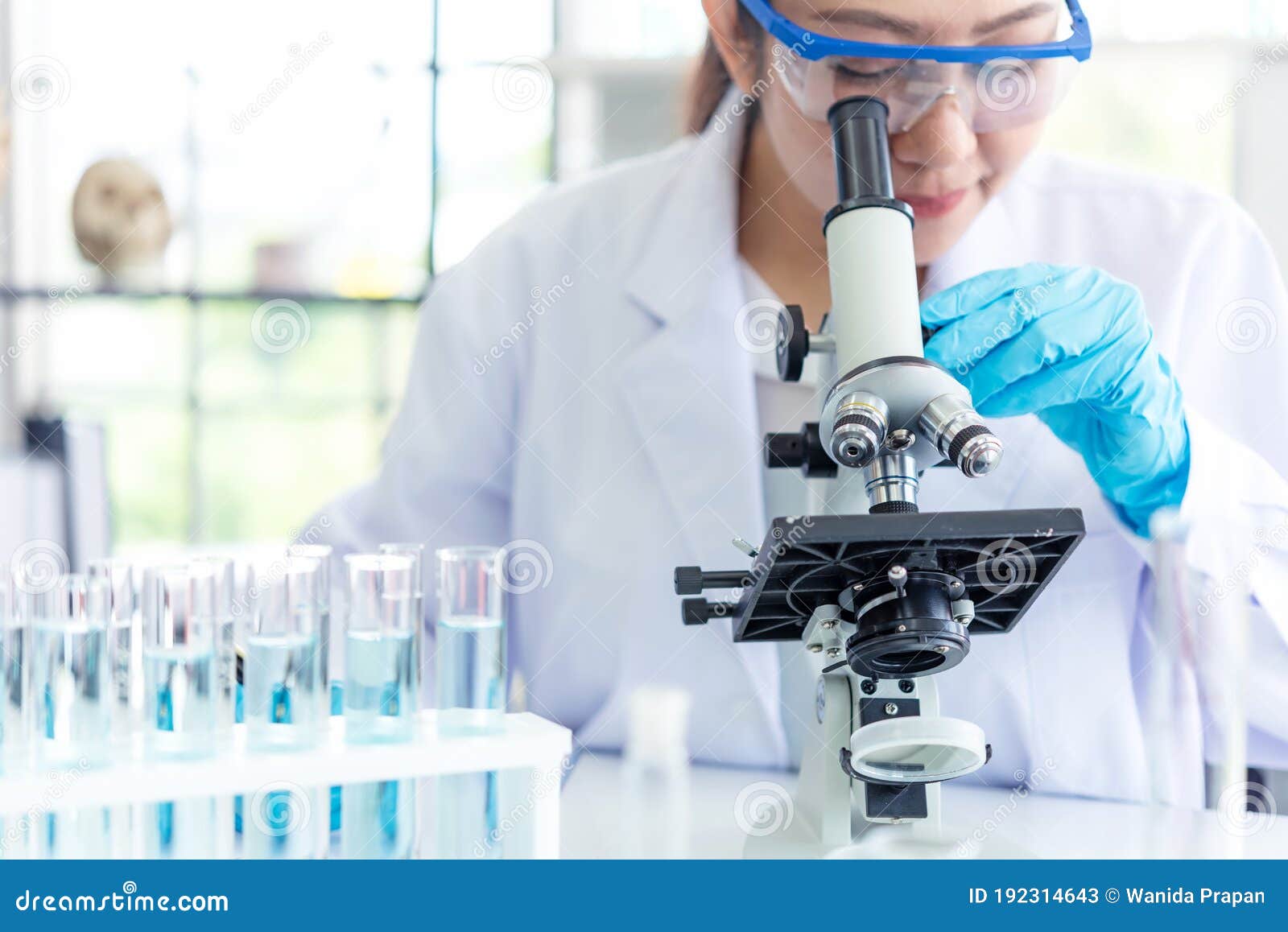 Scientists Analyzing Study Data and Evaluating Microscope Success for ...