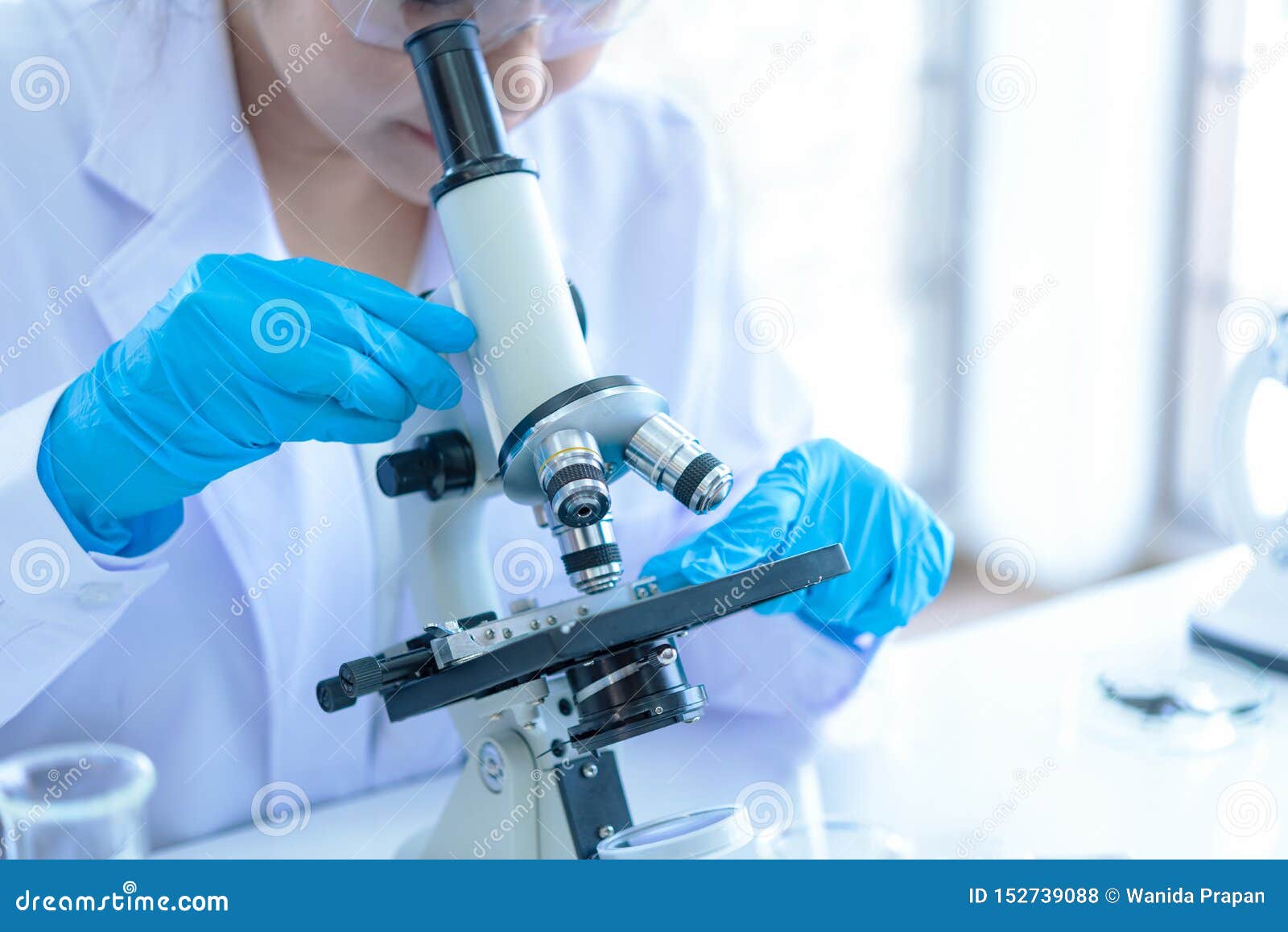 Scientists Analyzing Study Data and Evaluating Stock Photo - Image of ...