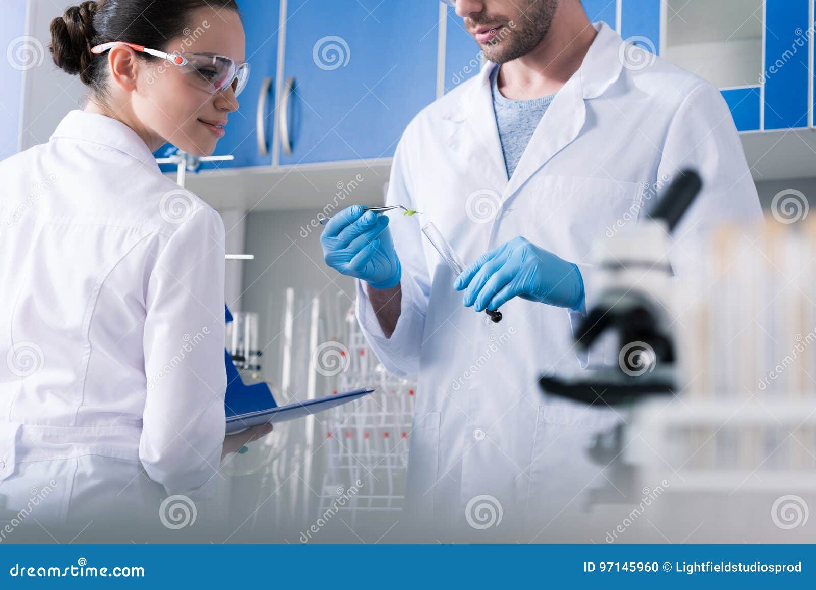 Scientists at Chemical Laboratory during Work Stock Photo - Image of ...