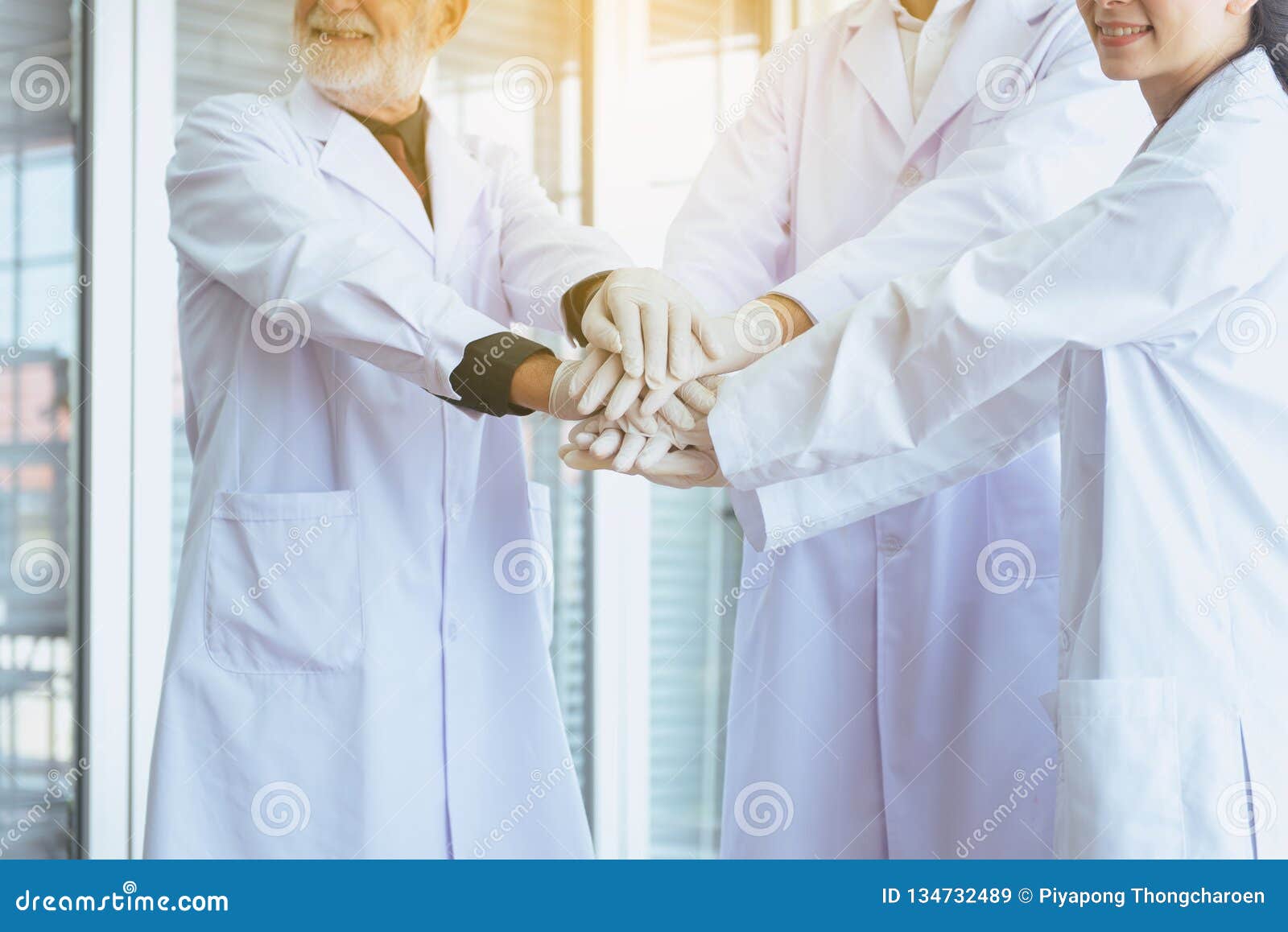 Scientists Coordinate Hand,Group of People Teamwork in Laboratory ...