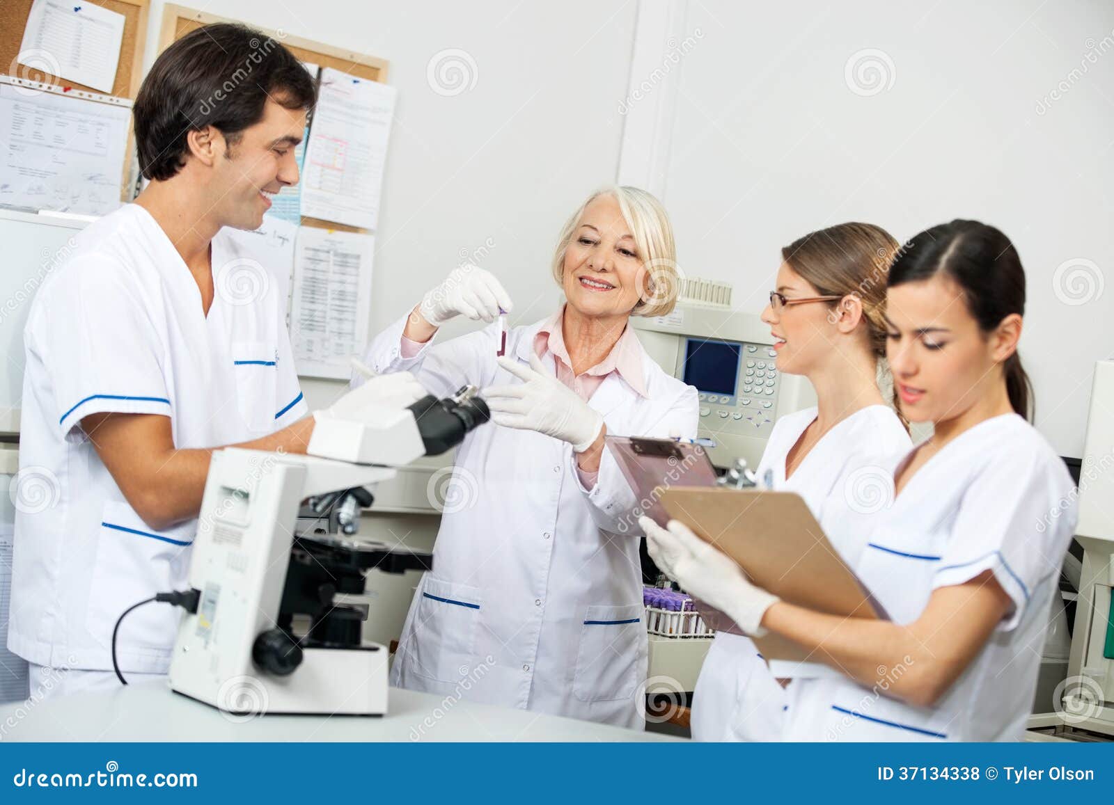 Scientists Discussing Over Blood Sample in Stock Photo - Image of ...