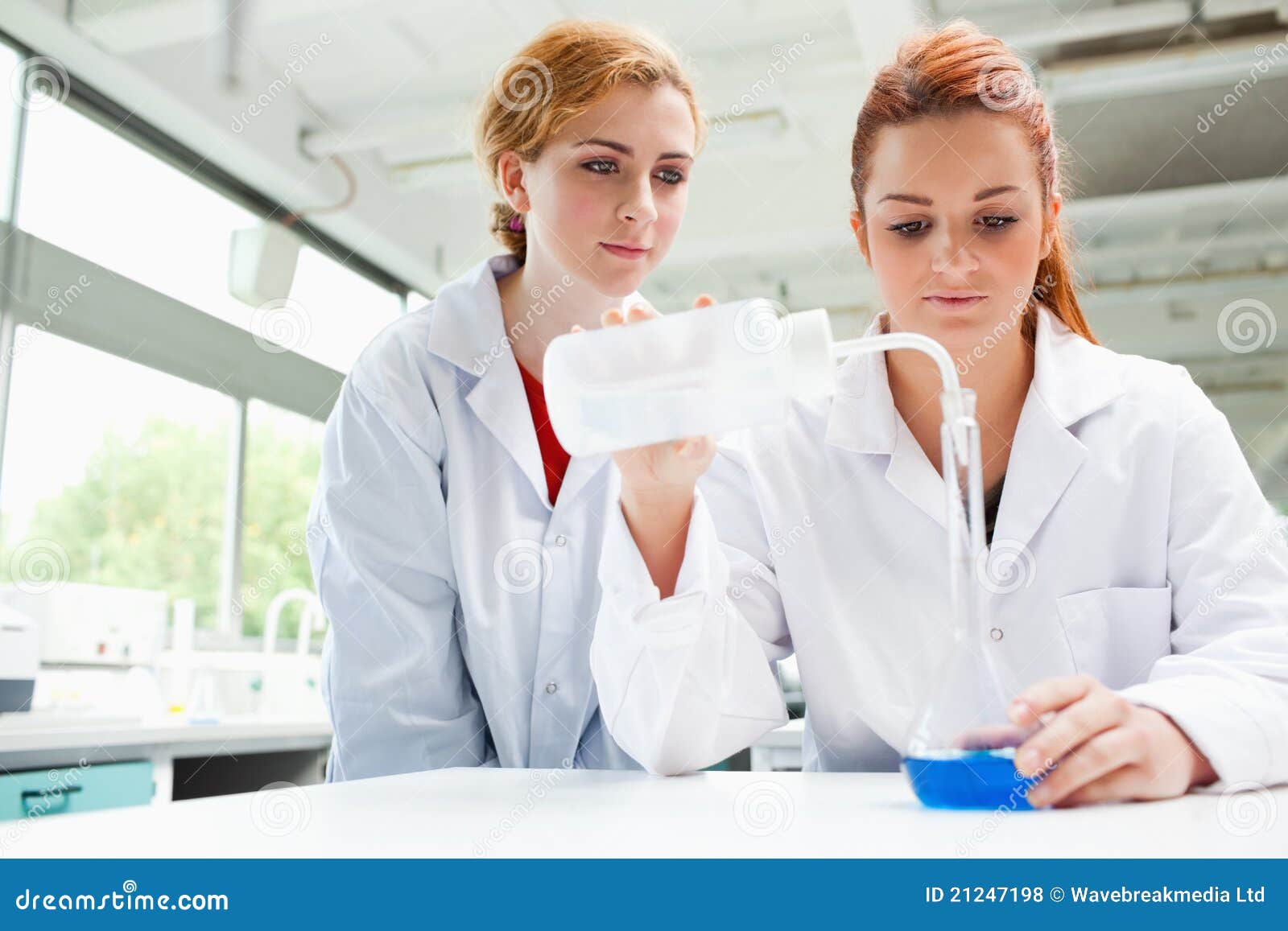 Scientists Doing an Experiment Stock Photo - Image of chemistry ...