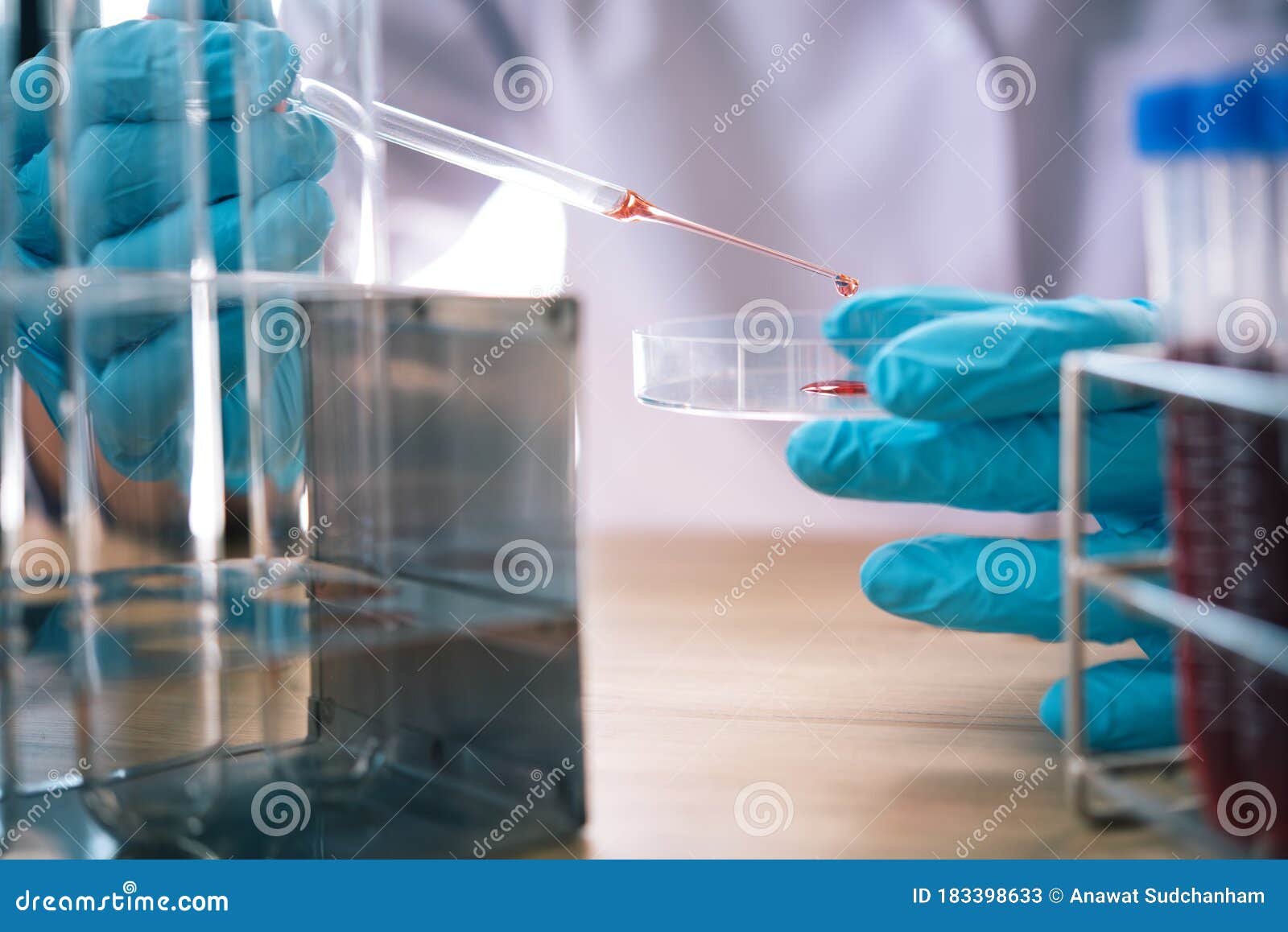 Scientists are Dripping Liquid into the Test Tube.Research in Lab ...