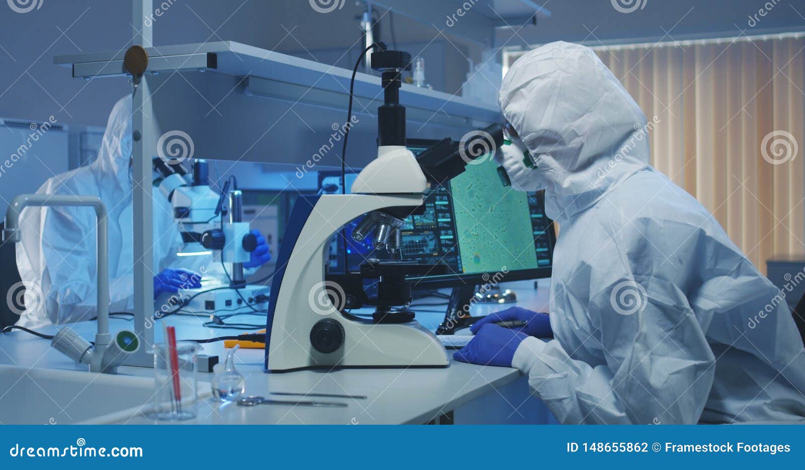Scientists Examining Bacteria in a Lab Stock Photo - Image of indoors ...