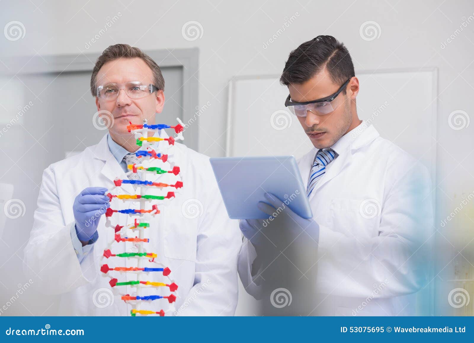 Scientists Examining Dna Helix Stock Image - Image of coloured ...