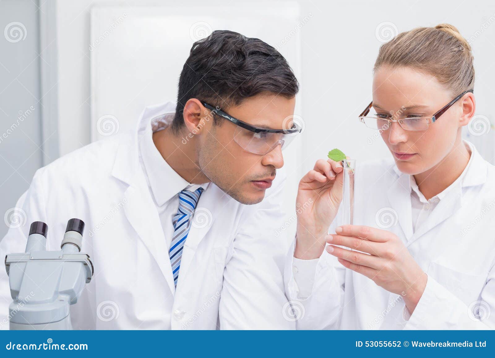 Scientists Examining a Leaf Stock Photo - Image of indoors, gloves ...