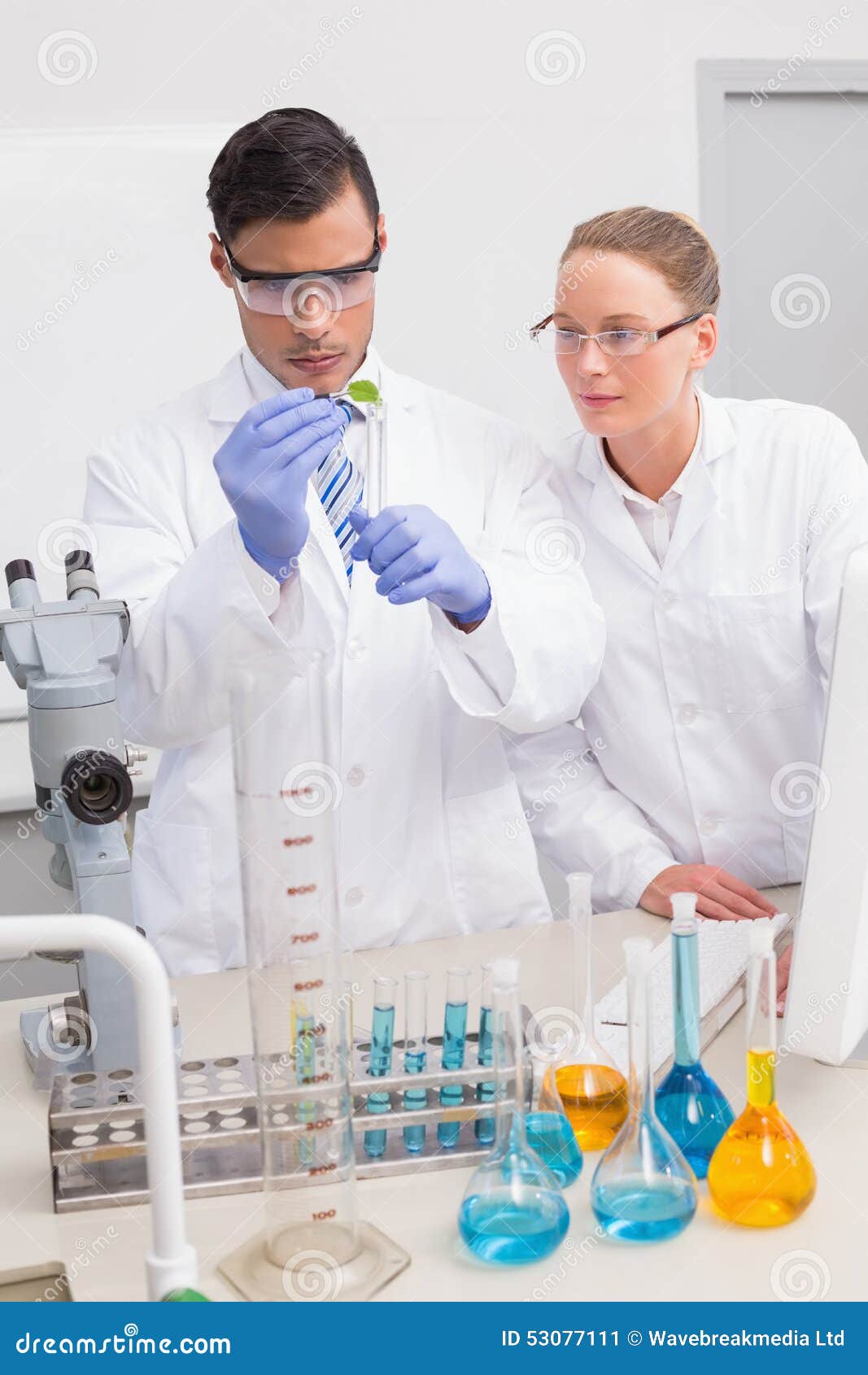 Scientists Examining a Leaf Stock Image - Image of mixedrace, people ...
