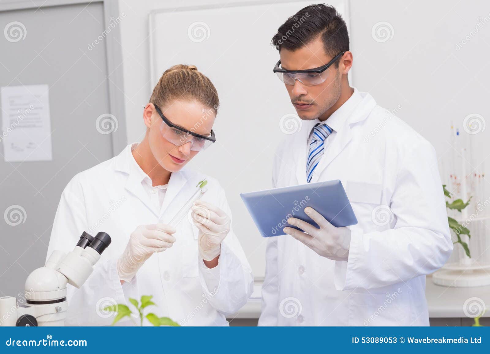 Scientists Examining Leaf of Plants Stock Image - Image of experiment ...