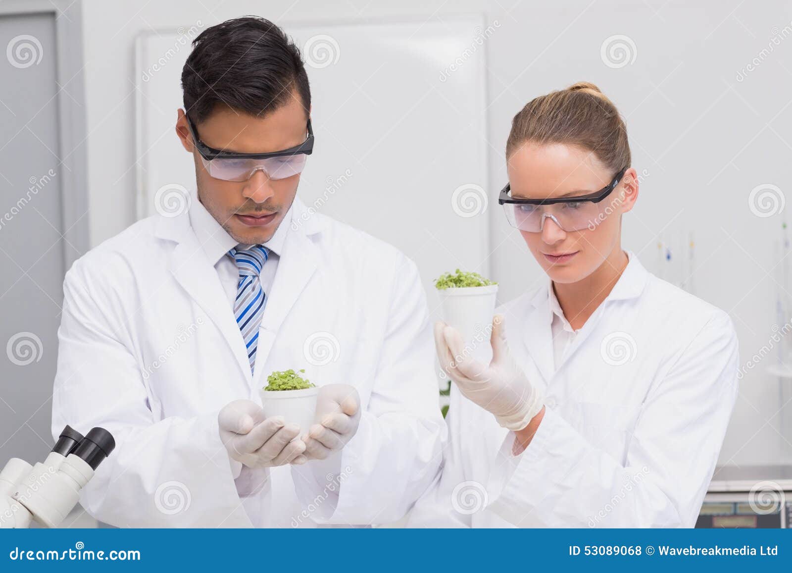 Scientists Examining Plants Stock Photo - Image of college, people ...