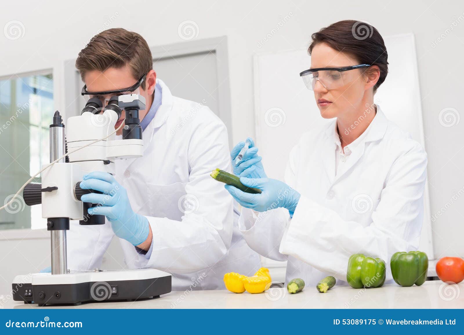 Scientists Examining Vegetables Stock Image - Image of caucasian ...