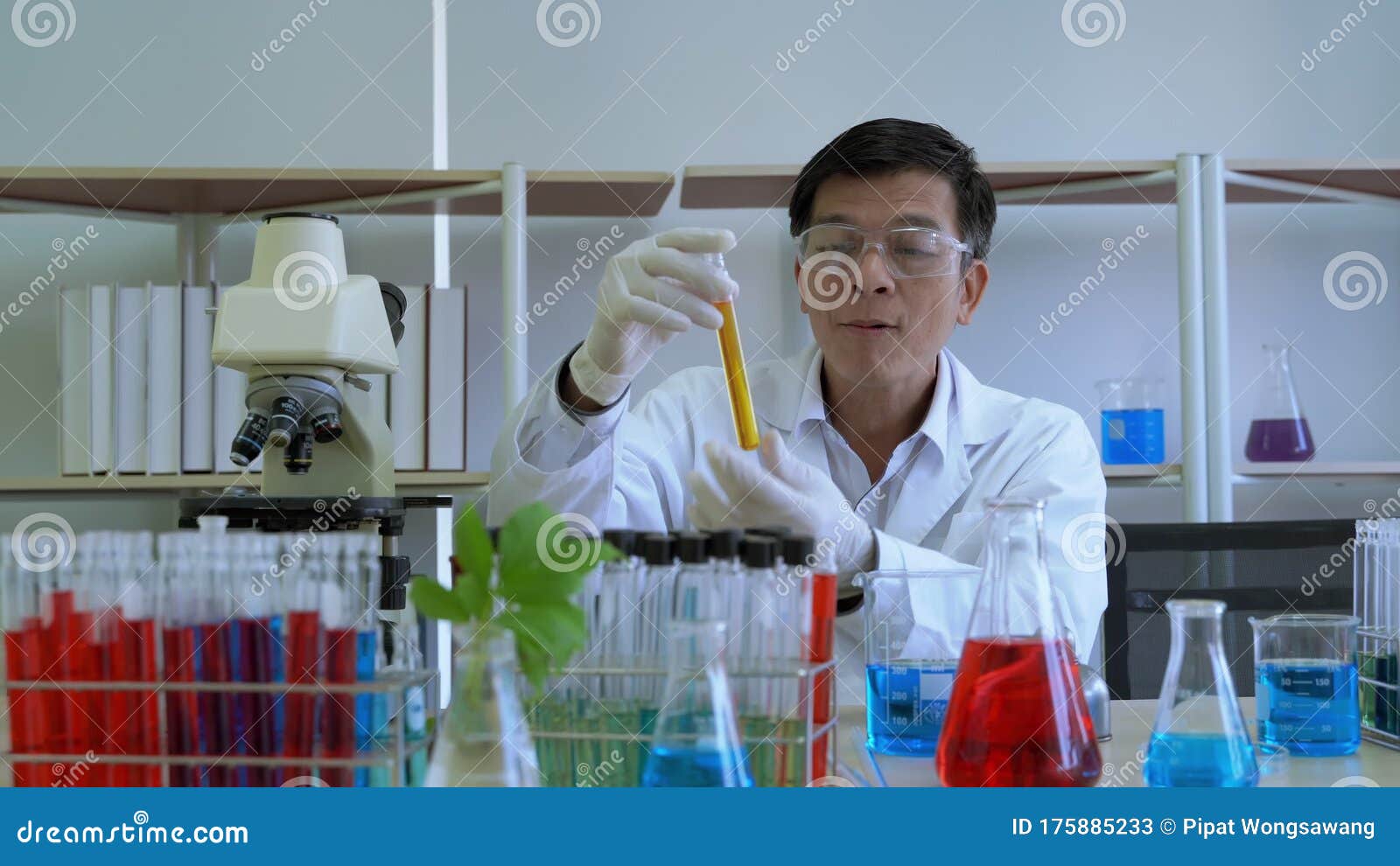 Scientists are Explaining and Experimenting Procedures. Scientifically ...