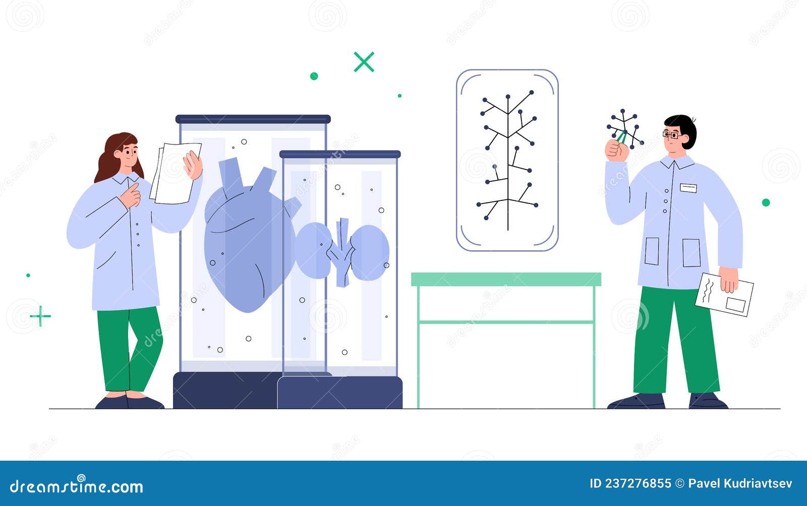 Scientists Growing Bioengineered Human Organs Flat Vector Illustration ...