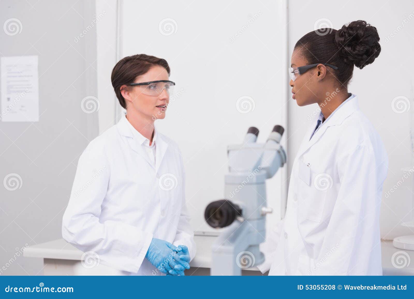 Scientists Having a Conversation Stock Photo - Image of conversation ...