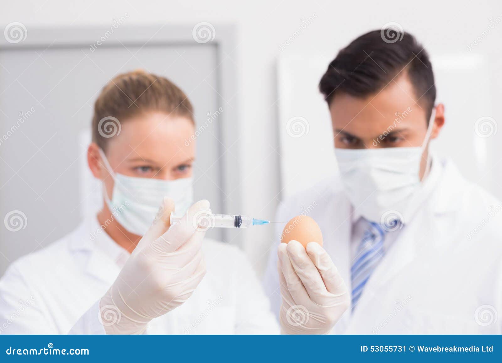 Scientists Injecting an Egg Stock Image - Image of mask, experiment ...