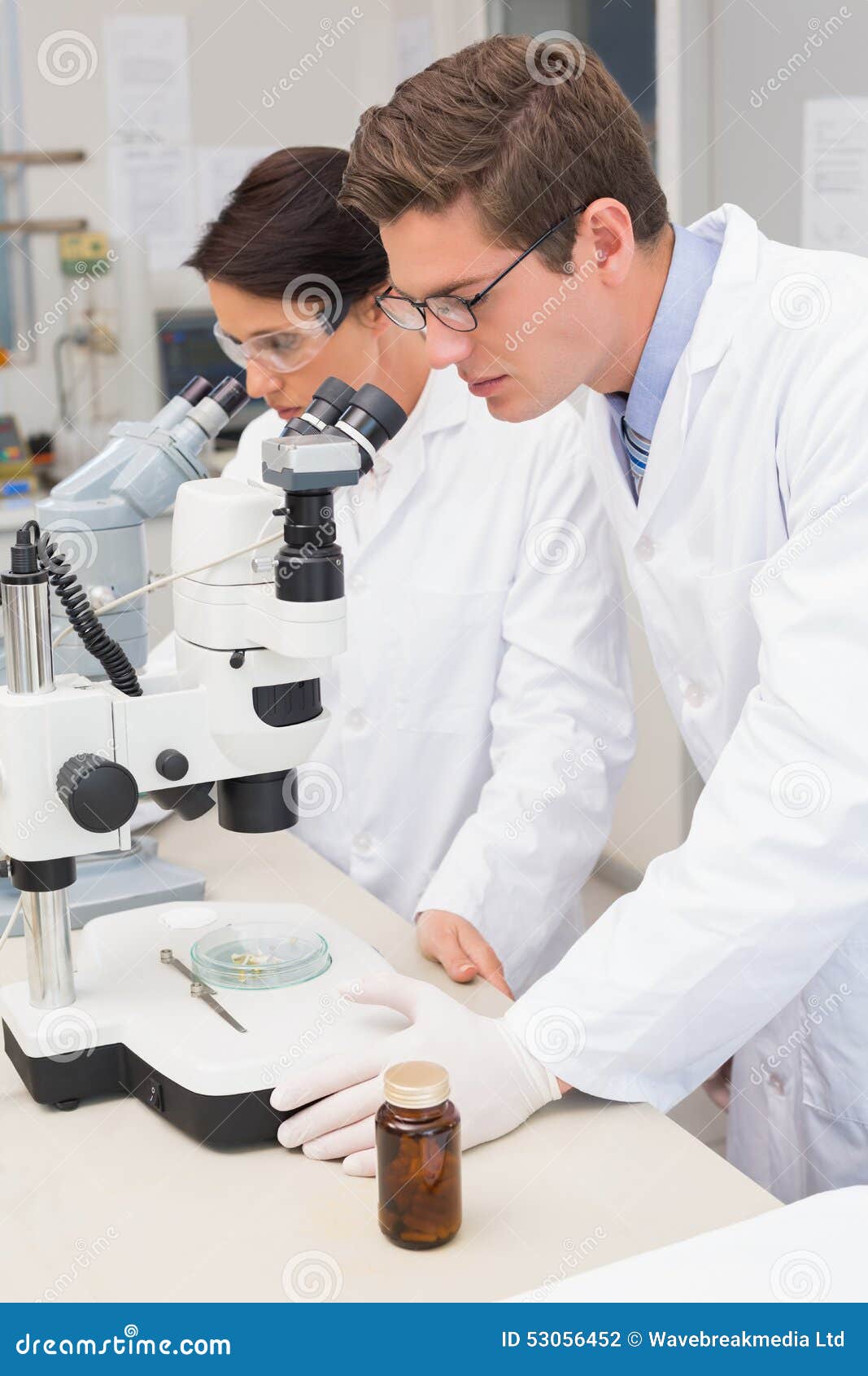 Scientists Looking Attentively in Microscopes Stock Photo - Image of ...