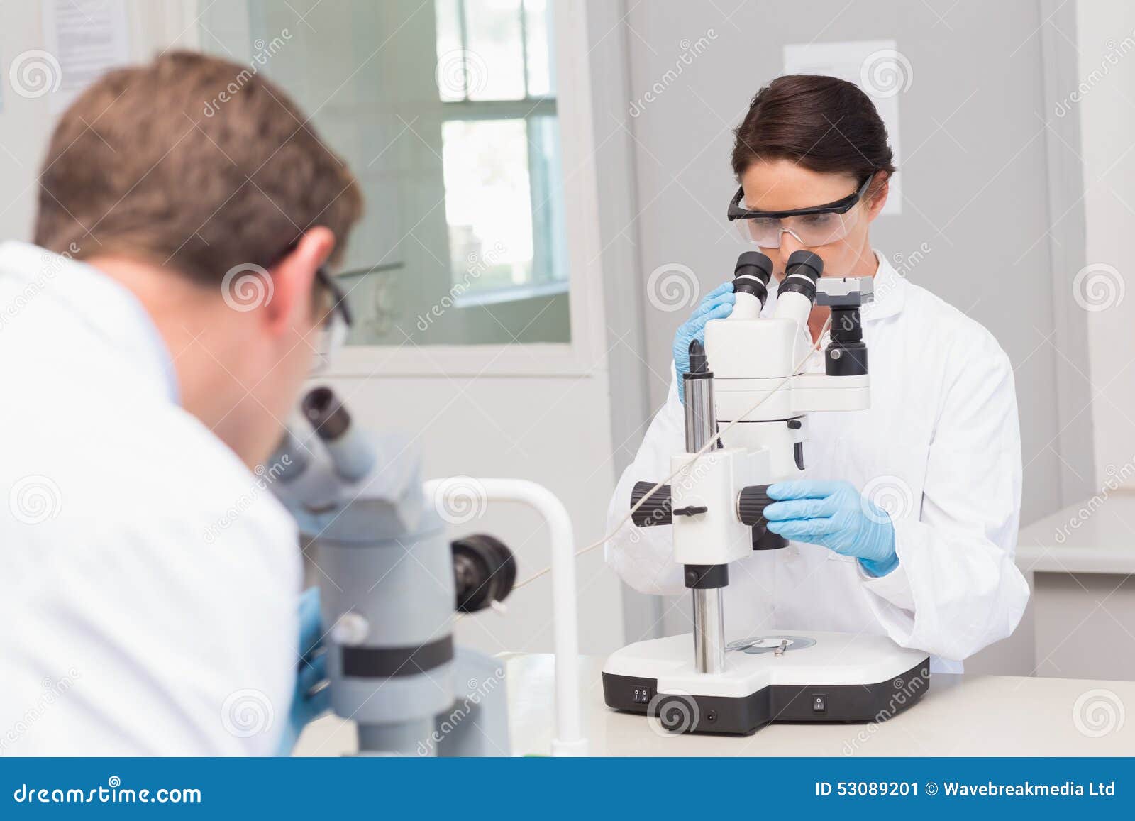 Scientists Looking Attentively in Microscopes Stock Image - Image of ...