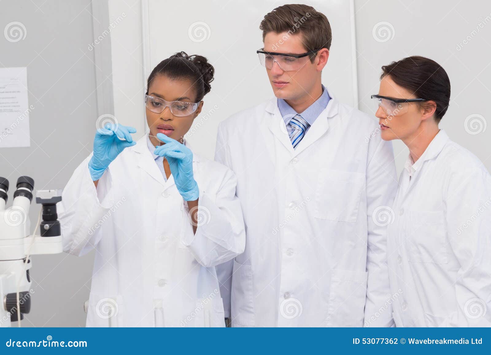 Scientists Looking at Experimentation Stock Photo - Image of biologist ...