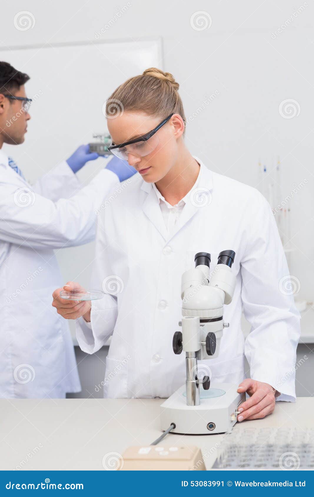 Scientists Looking At A Slide Under A Microscope Royalty-Free Stock ...