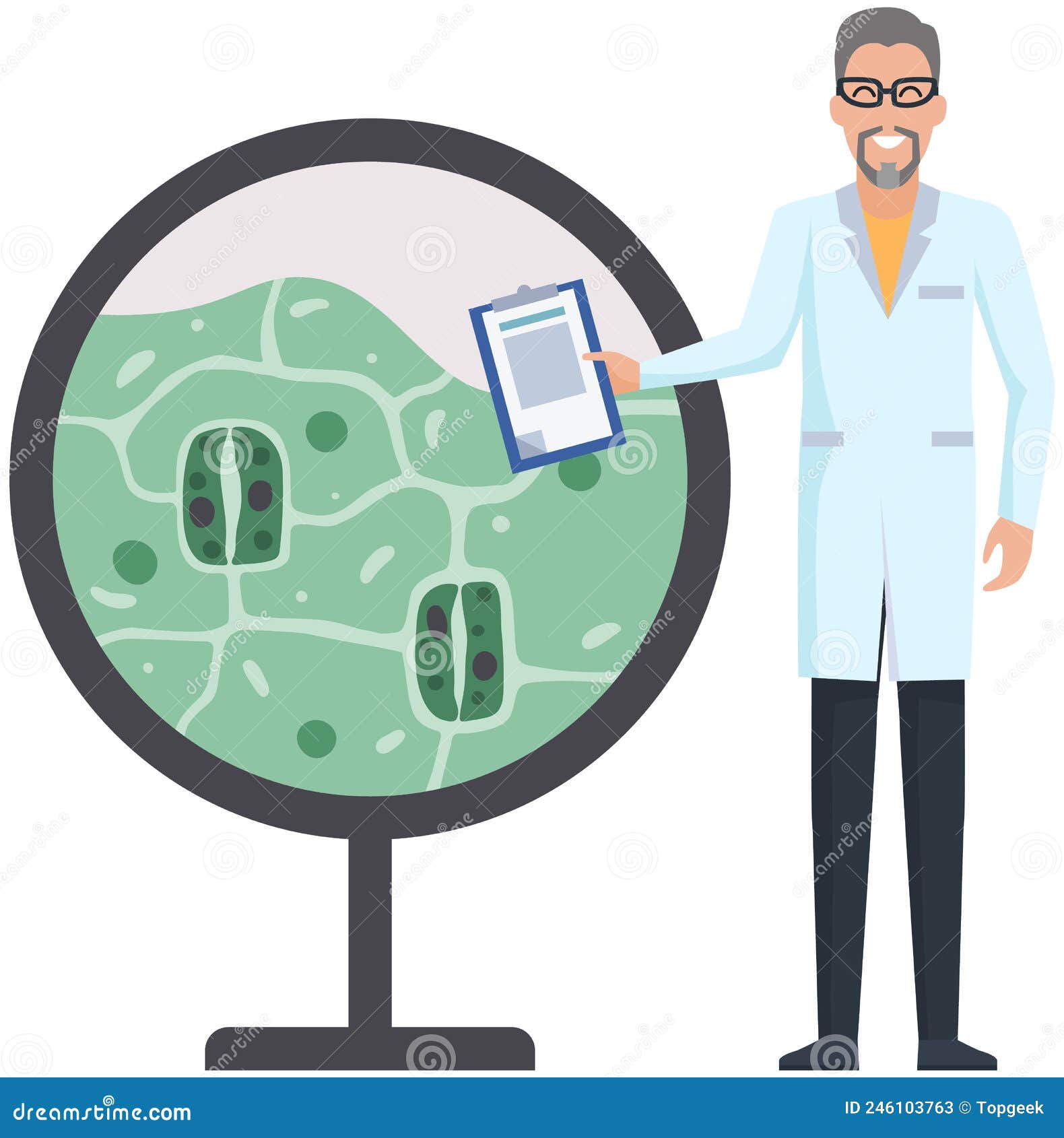 Biologists Study Structure Of Plant Cell. Biological Research With ...