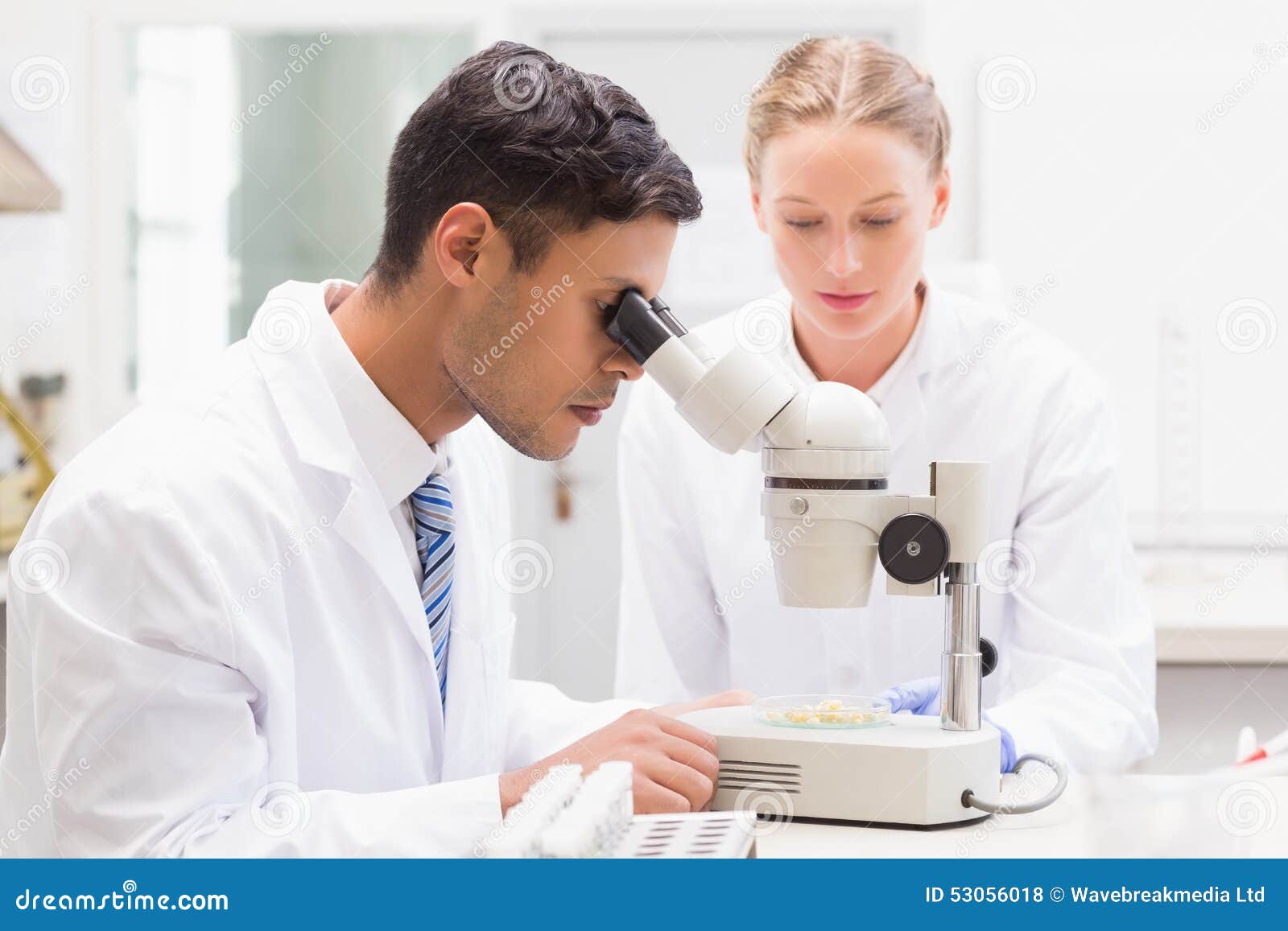 Two Scientists Observing Something With Microscope Stock Photo ...