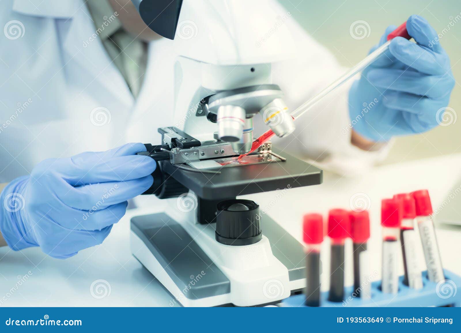 Scientists are Preparing Samples To Examine the Specimens with a ...