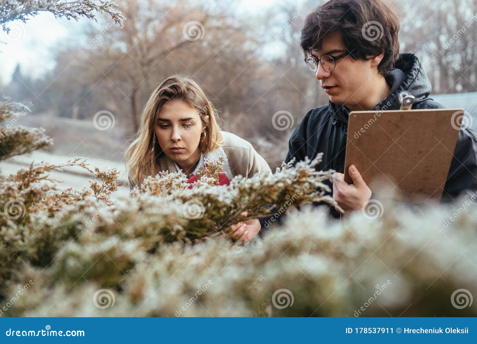 Scientists are Studying Plant Species in the Forest. Stock Image ...