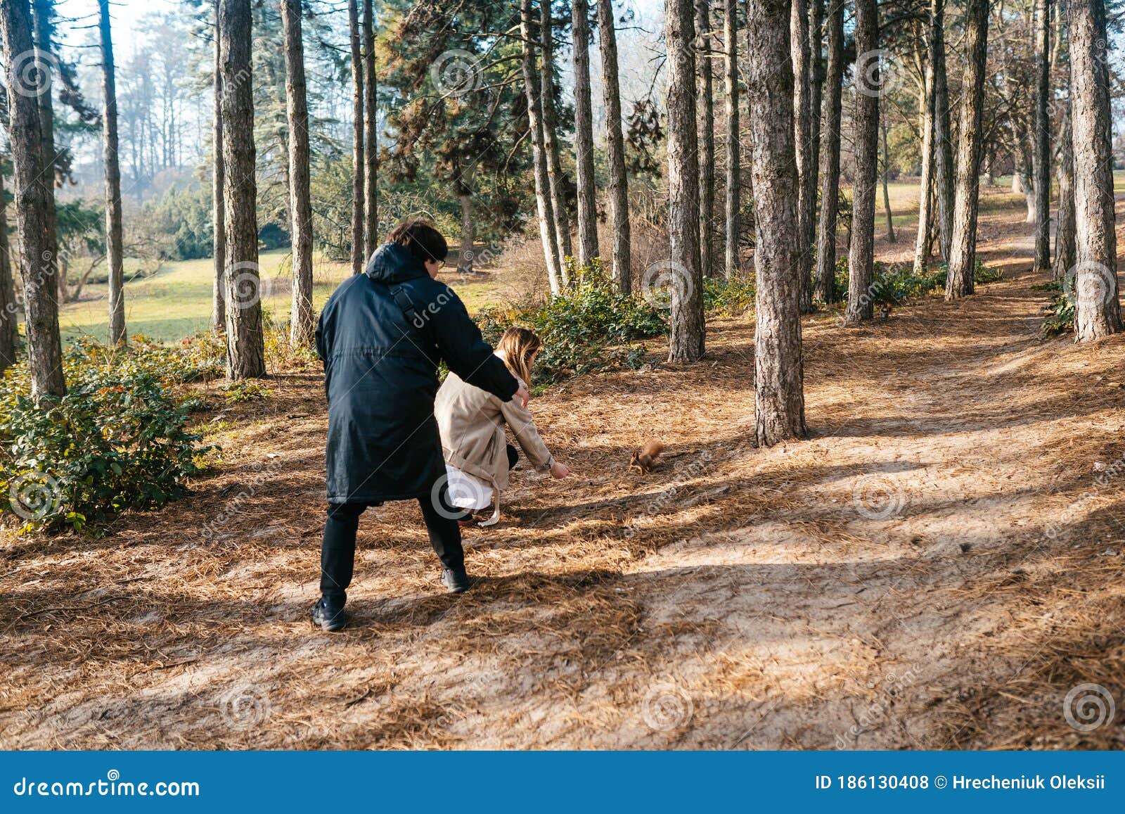 Scientists are Studying Plant Species in the Forest. Stock Photo ...
