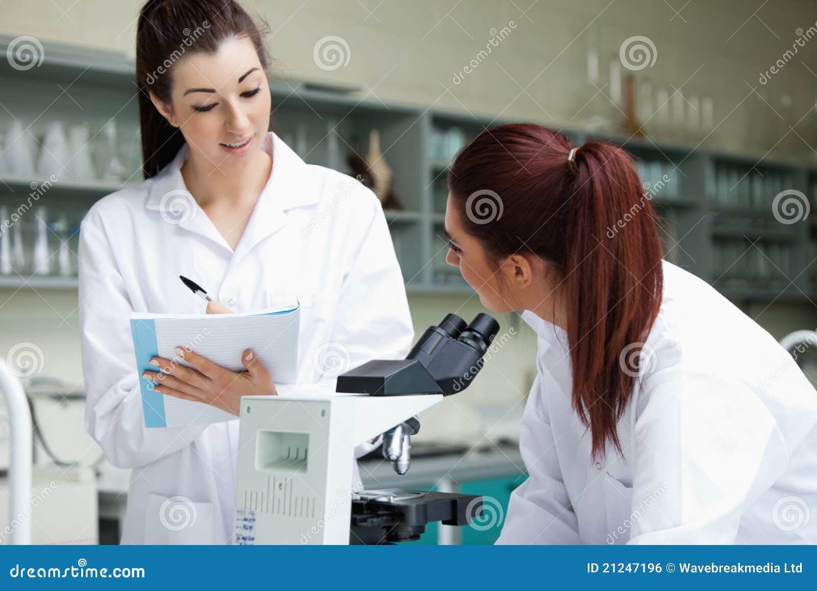 Scientists Talking about Their Results Stock Photo - Image of ...
