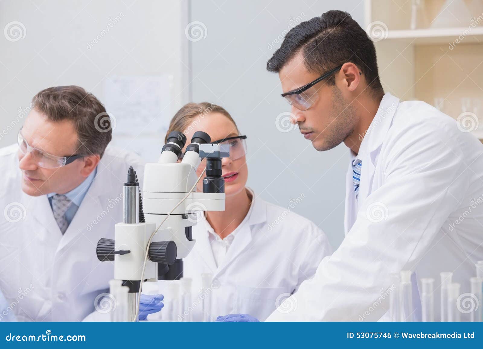 Scientists Talking Together Stock Photo - Image of dish, partners: 53075746