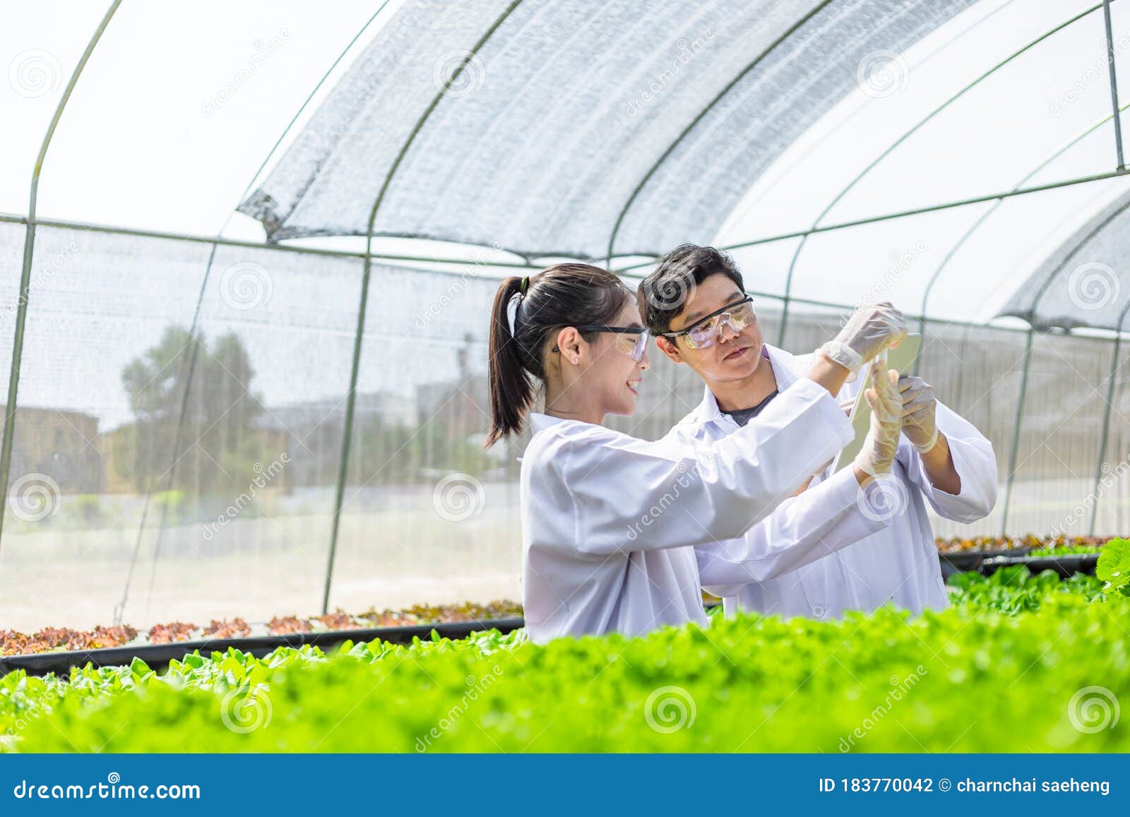 Scientists Test the Solution, Chemical Inspection, Check Freshness at ...