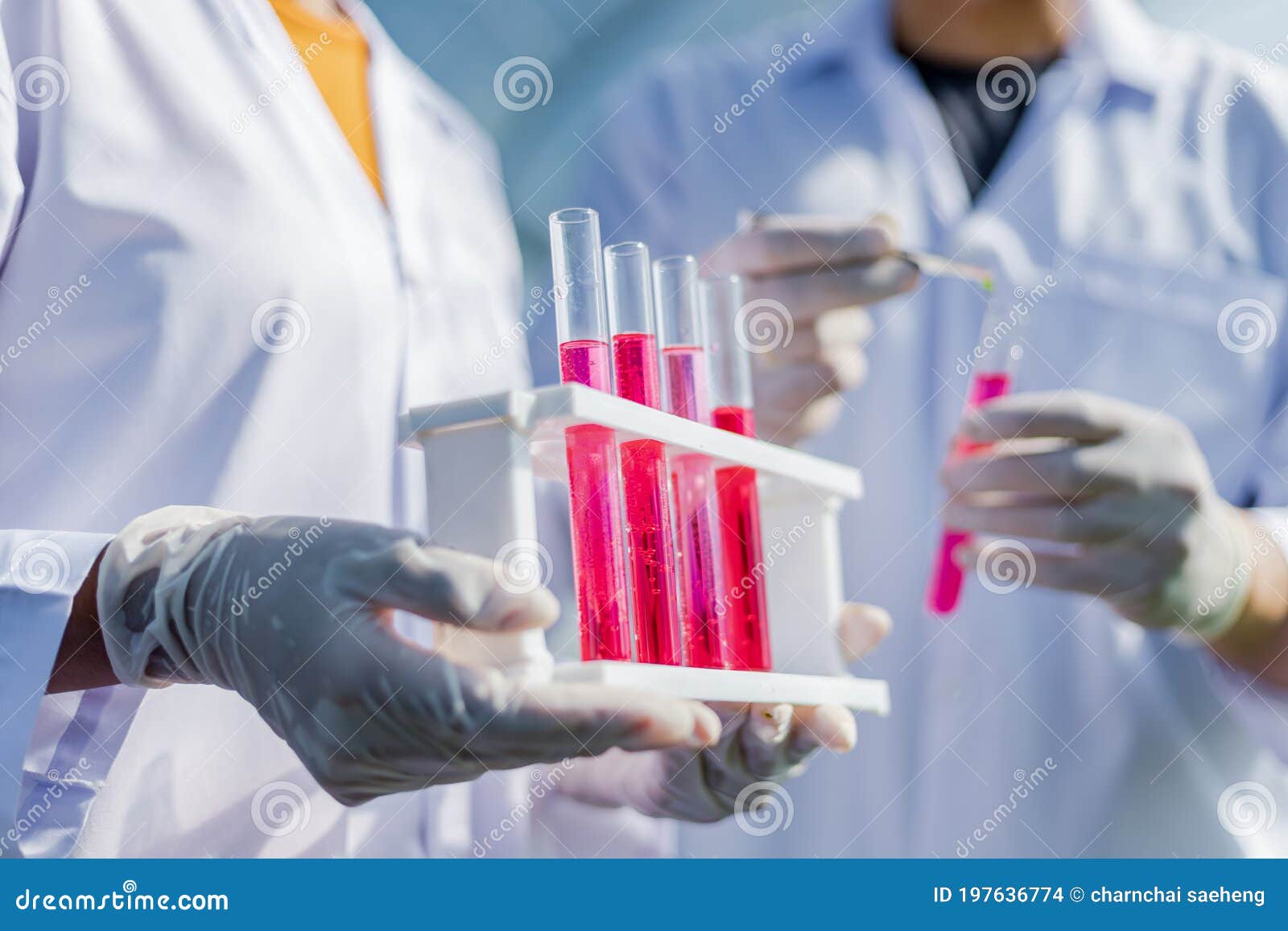 Scientists Test the Solution, Chemical Inspection, Check Freshness at ...