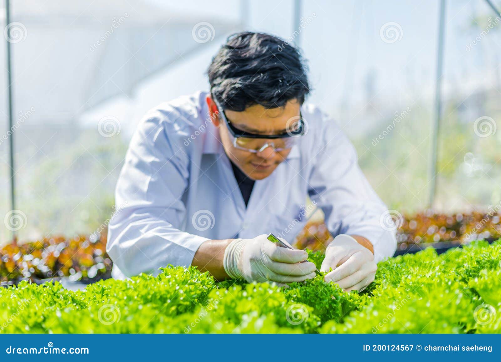 Scientists Test the Solution, Chemical Inspection, Check Freshness at ...