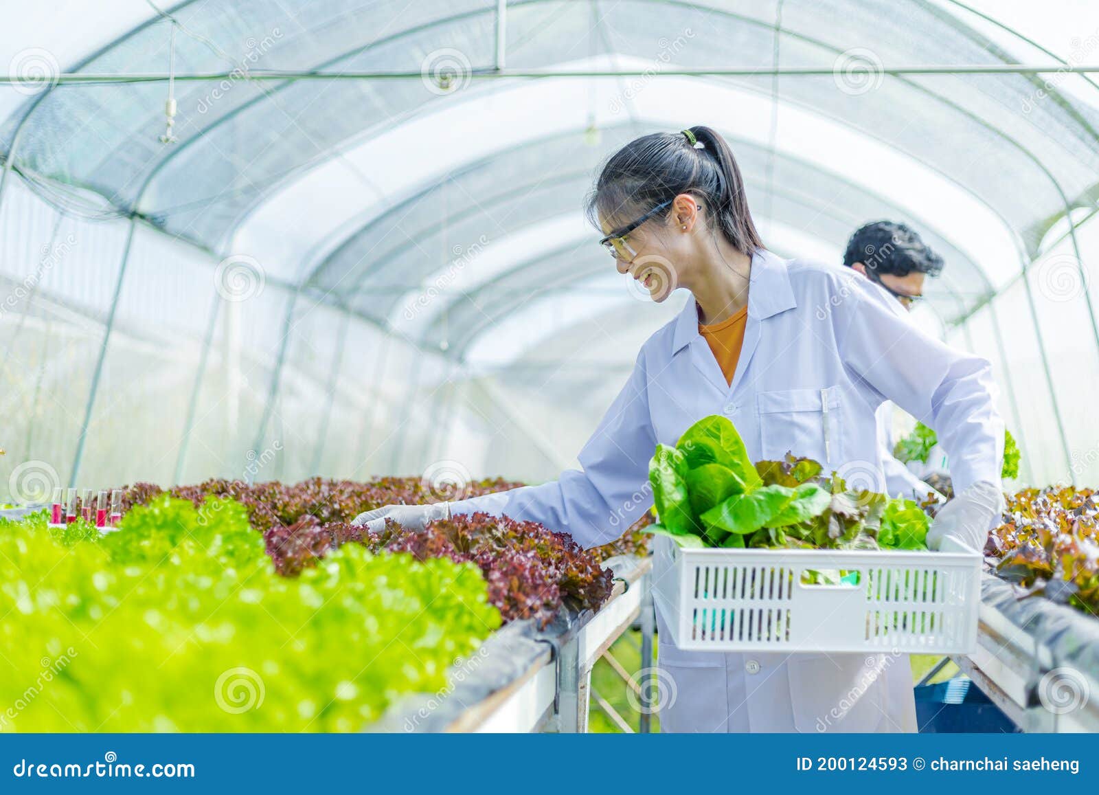 Scientists Test the Solution, Chemical Inspection, Check Freshness at ...