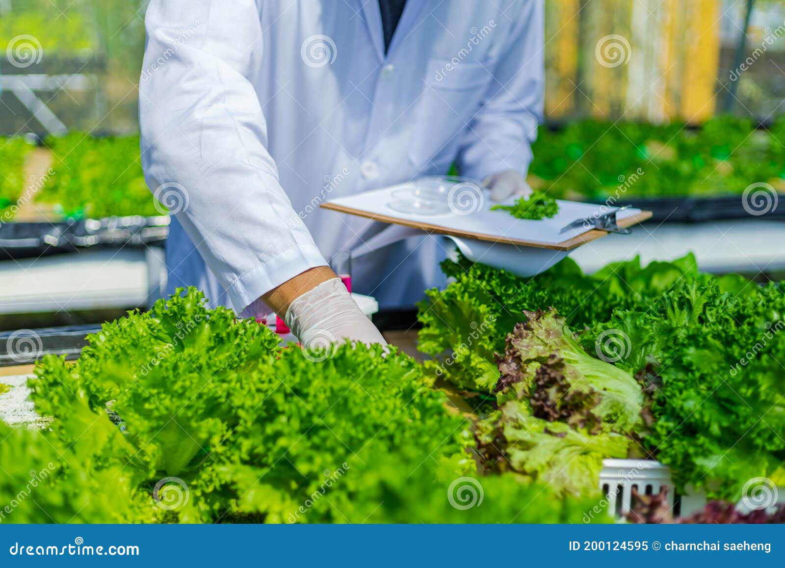 Scientists Test the Solution, Chemical Inspection, Check Freshness at ...