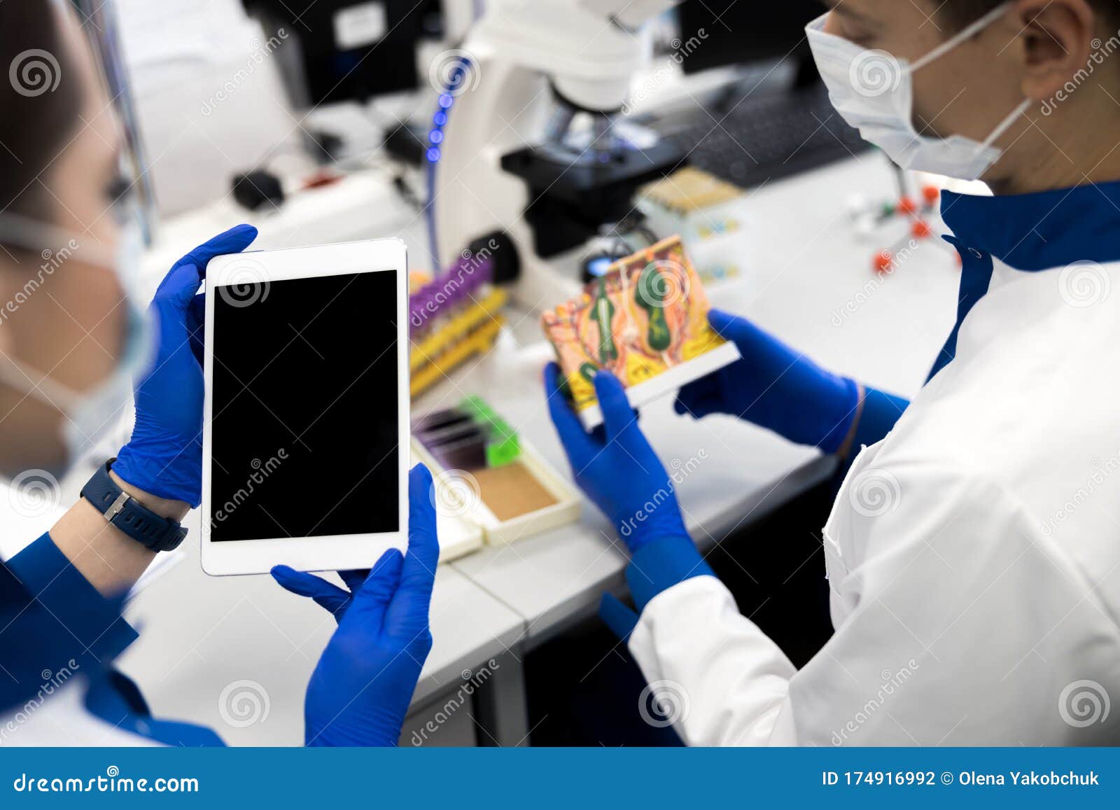 Scientists Using Digital Tablet and Anatomical Model in Laboratory ...