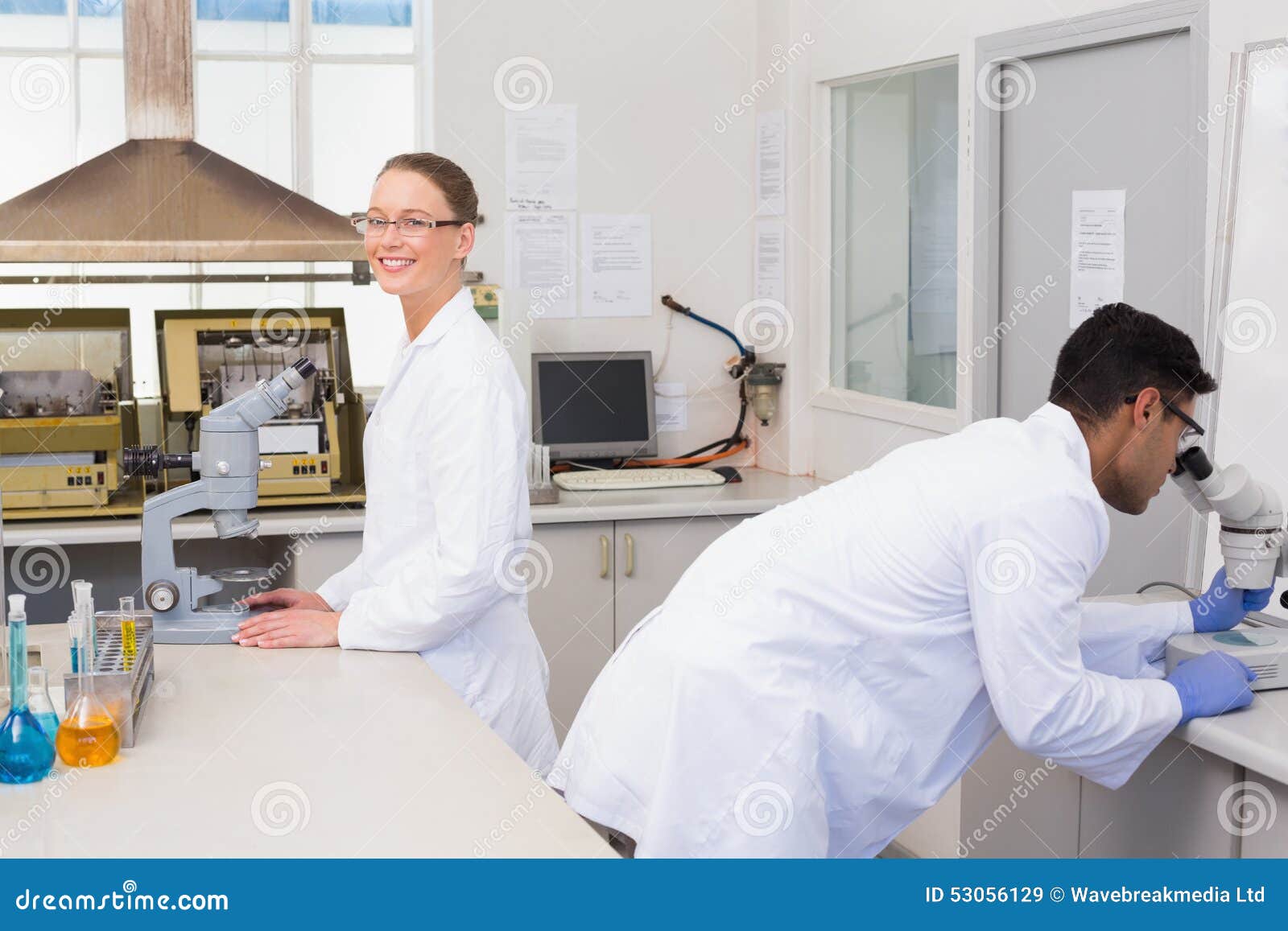 Scientists Using A Microscope To Study Bacteria In A Petri Dish. Stock ...