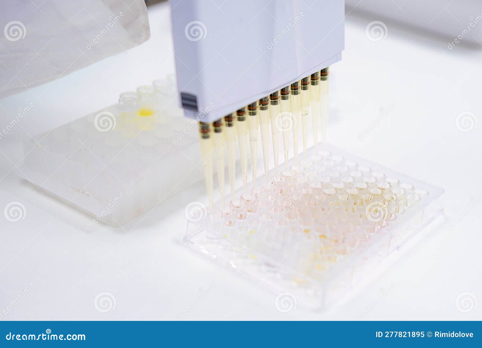 Scientists Utilize a Multichannel Pipette Dispenser To Load Microplates ...