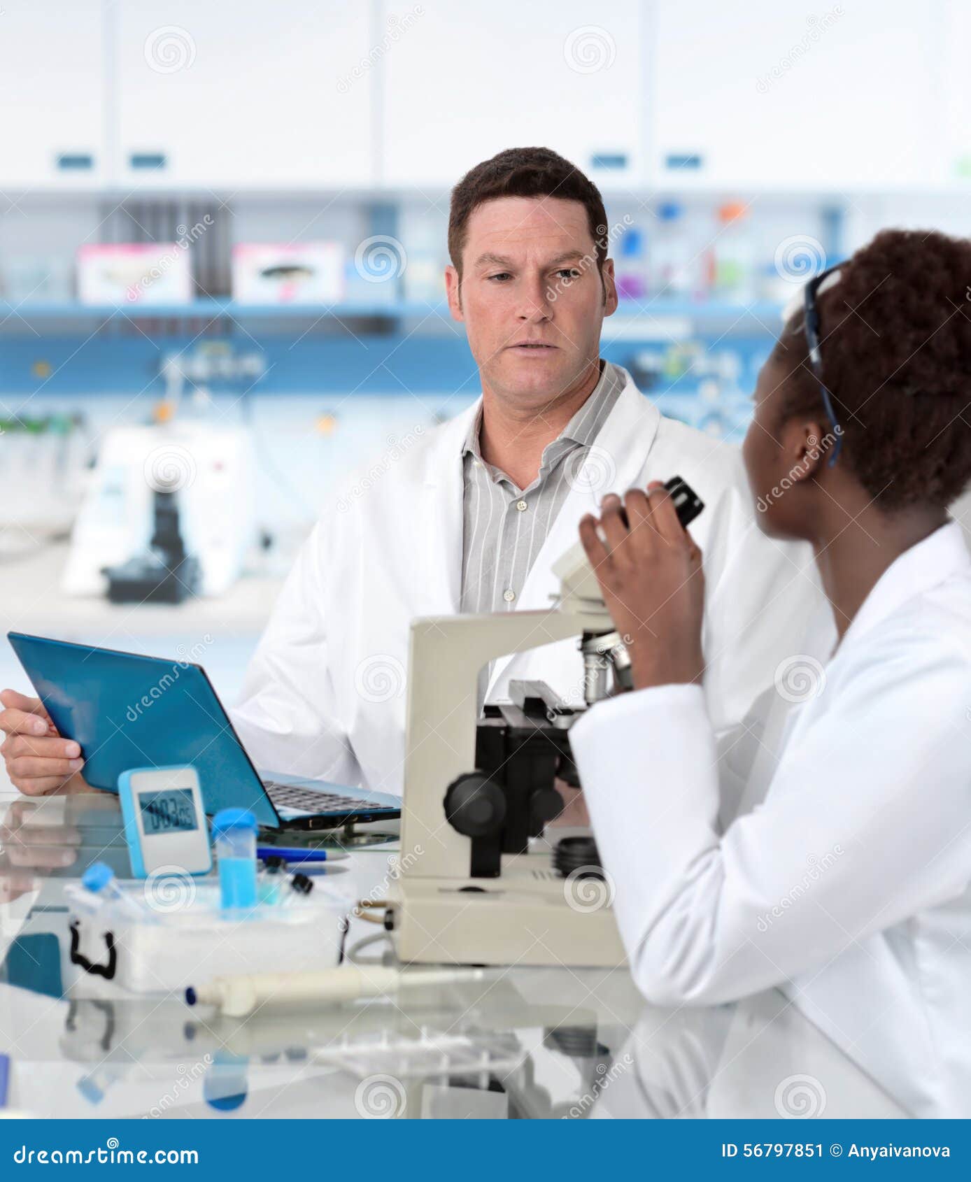 Scientists Work in Histological Lab Stock Image - Image of office ...