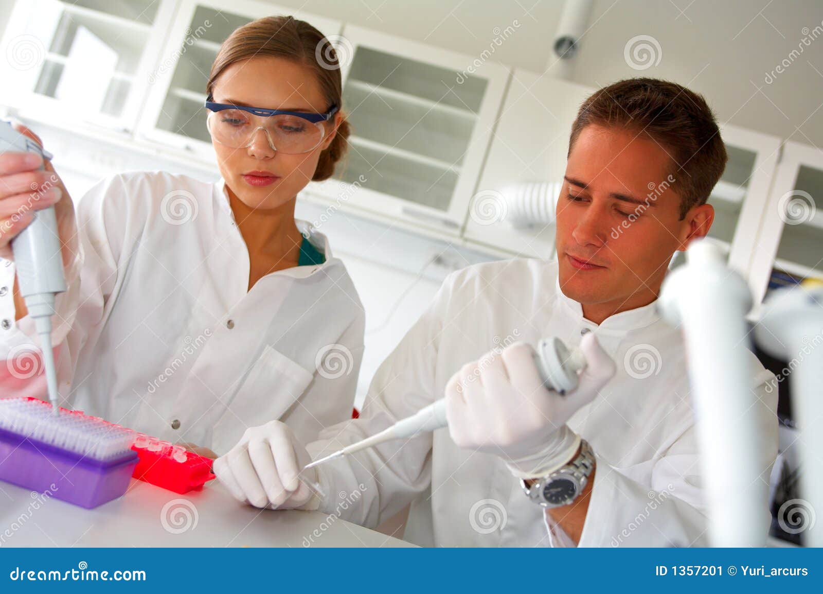 Scientists working stock image. Image of biology, discovery - 1357201