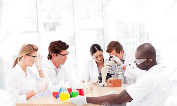 Scientists Working in a Laboratory Stock Photo - Image of learn, inside ...