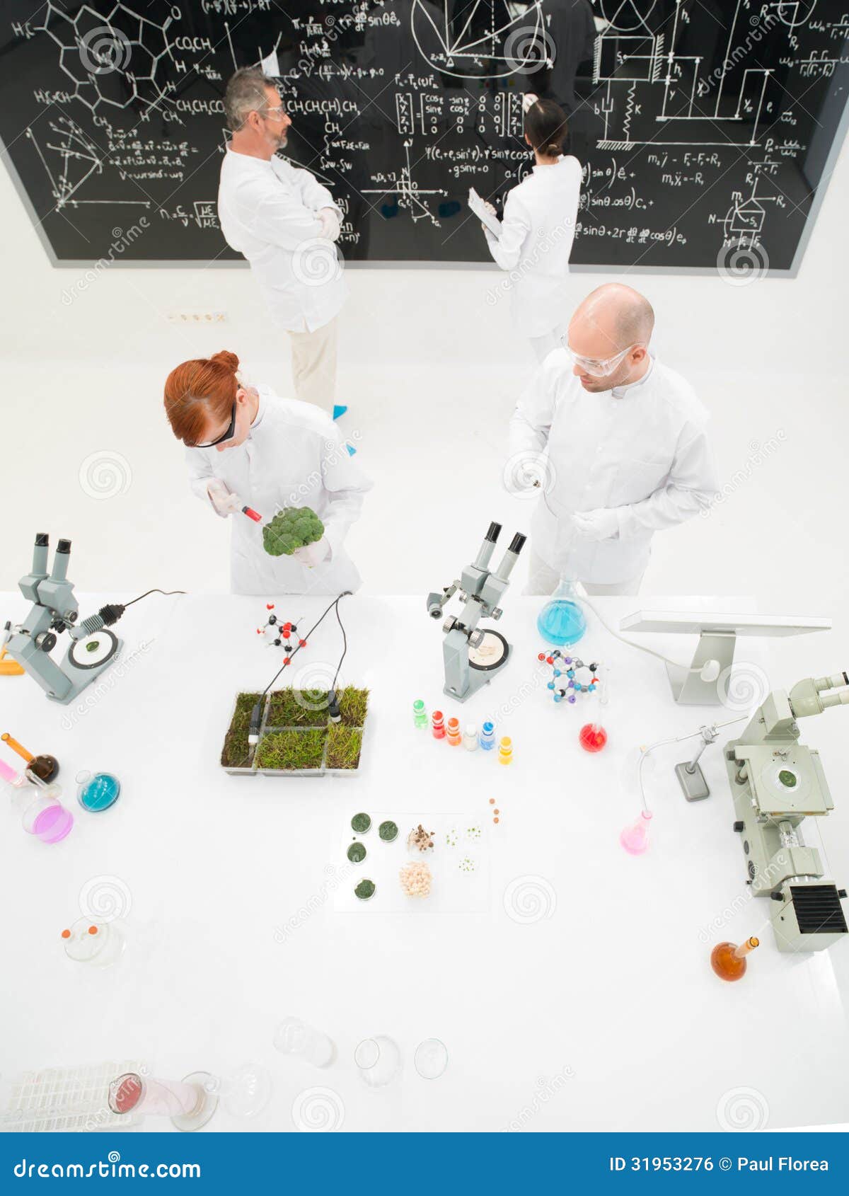 Scientists Working in a Laboratory Stock Photo - Image of equations ...