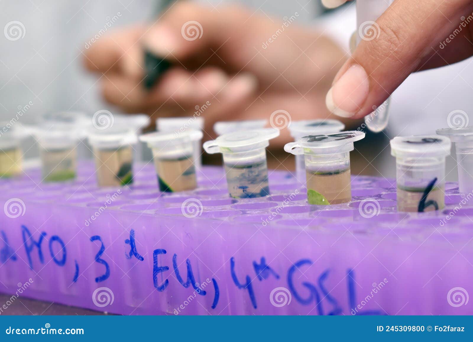 DNA Extraction Procedure in Laboratory. Stock Photo - Image of data ...