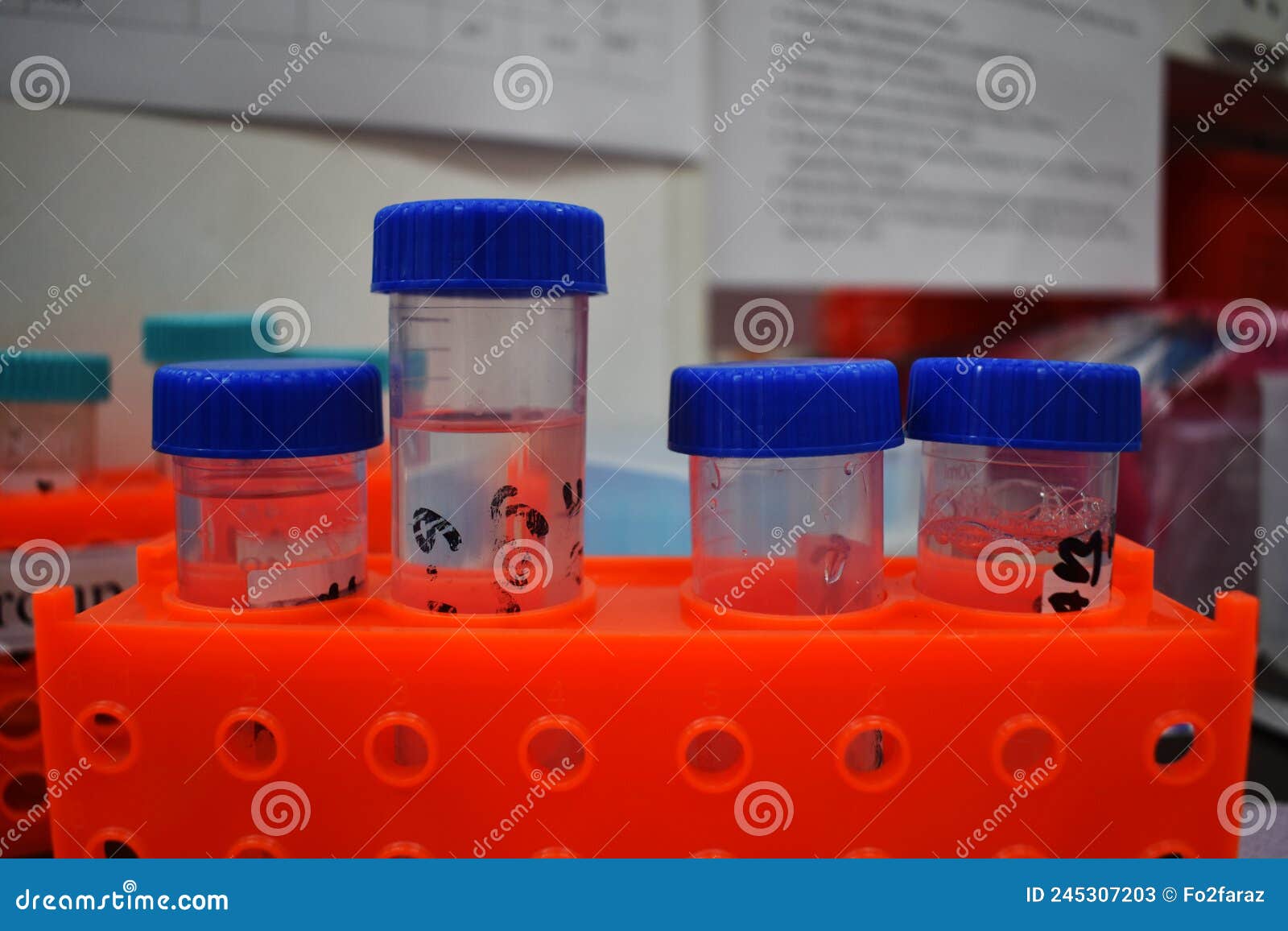 DNA Extraction Procedure in Laboratory. Stock Image - Image of genetics ...