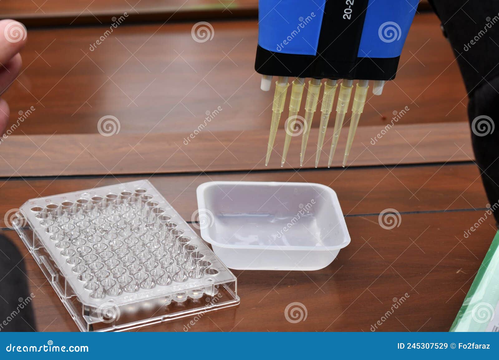 DNA Extraction Procedure in Laboratory. Stock Image - Image of ...
